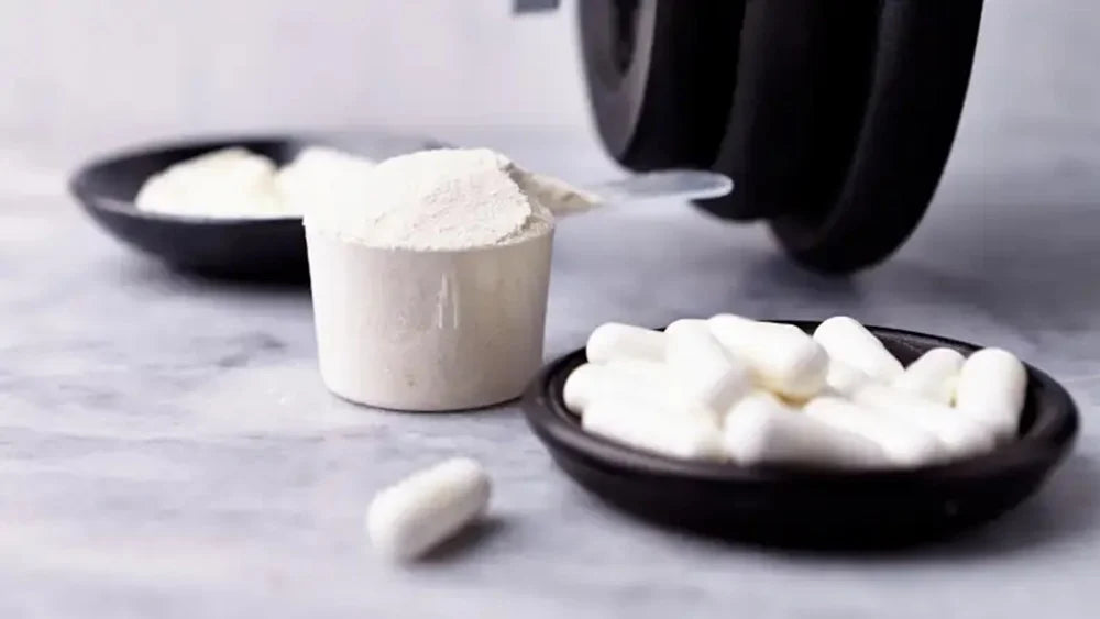 Creatine Pills vs. Powder: Which is the Best Option for You? – NDL Pro ...