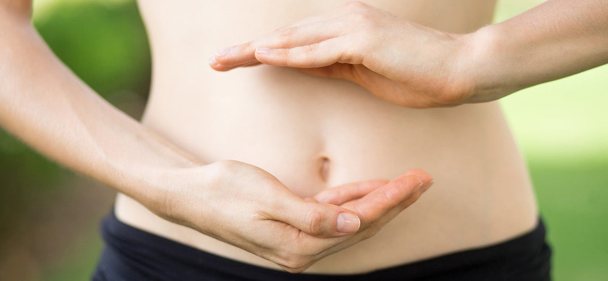 Inuline : qu'est-ce que c'est et à quoi ça sert ? – NDL Pro-Health